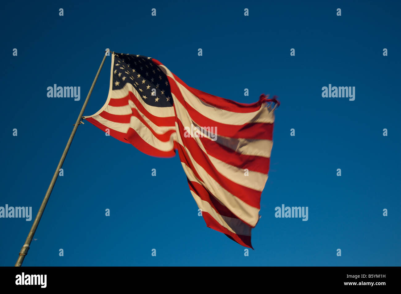 American flag blowing in breeze hi-res stock photography and images - Alamy