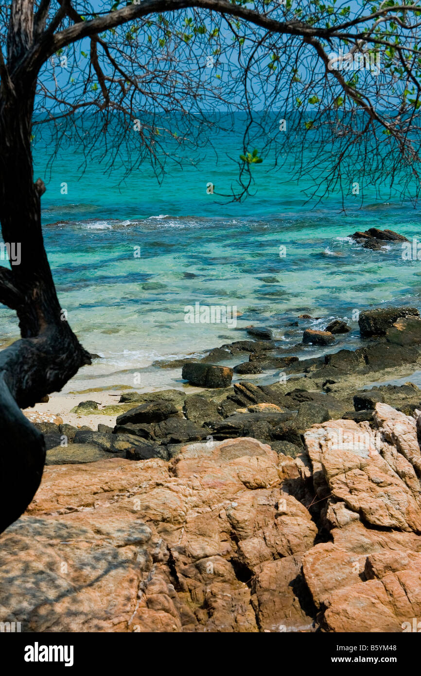 Asia Thailand tree stone sea Stock Photo - Alamy