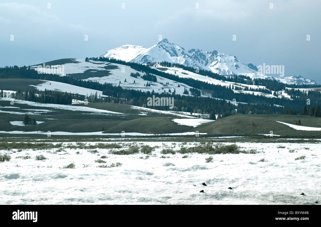 Gallatin range hi-res stock photography and images - Alamy