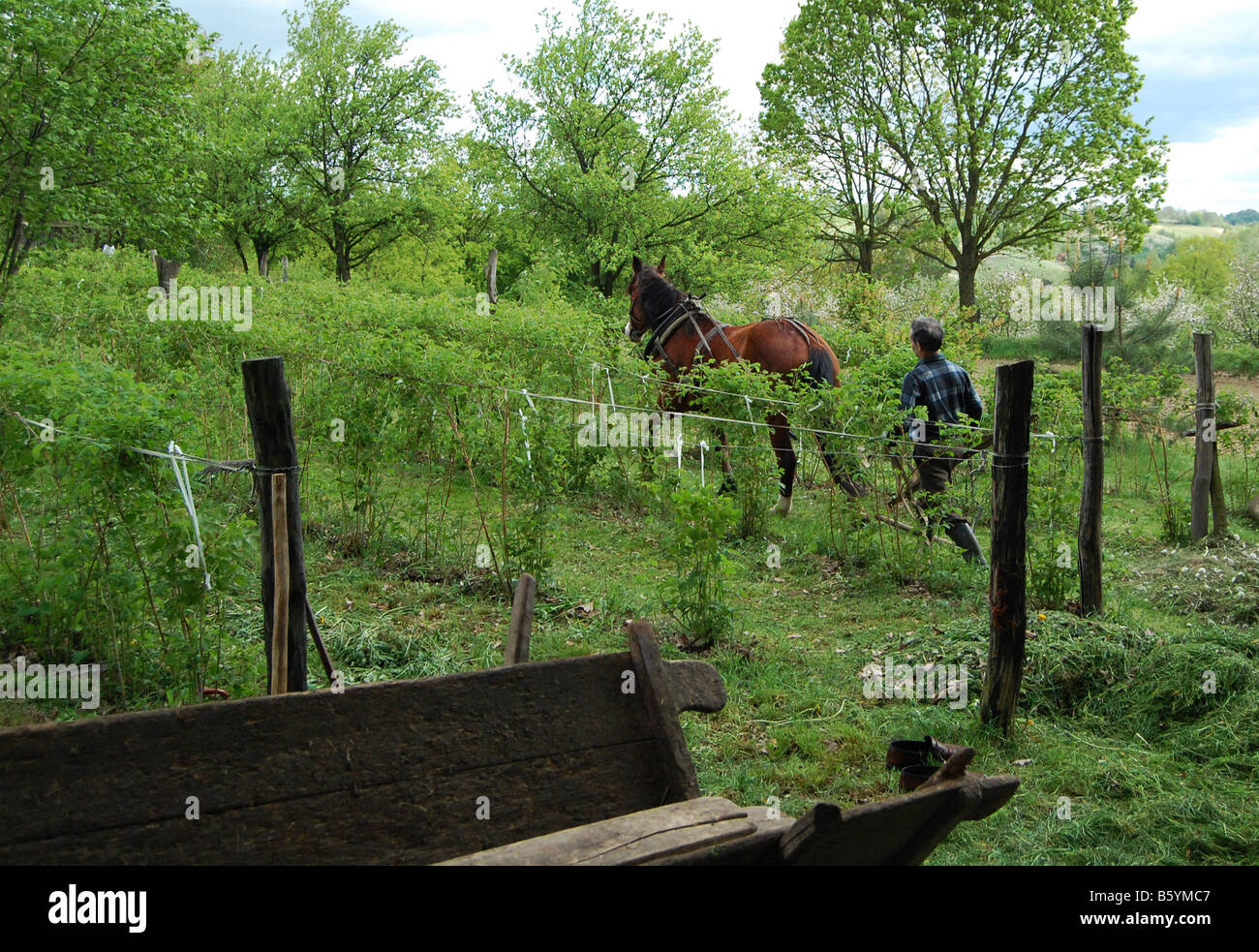 Traditional polish village hi-res stock photography and images - Alamy