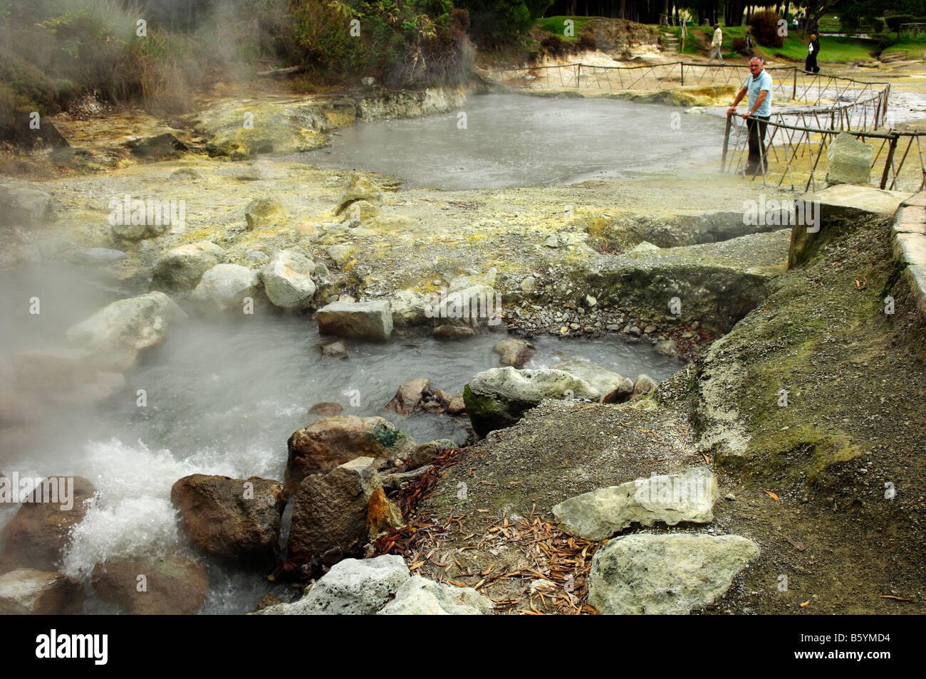 Steaming volcanic thermal hot springs by Furnas lake Sao Miguel Island ...