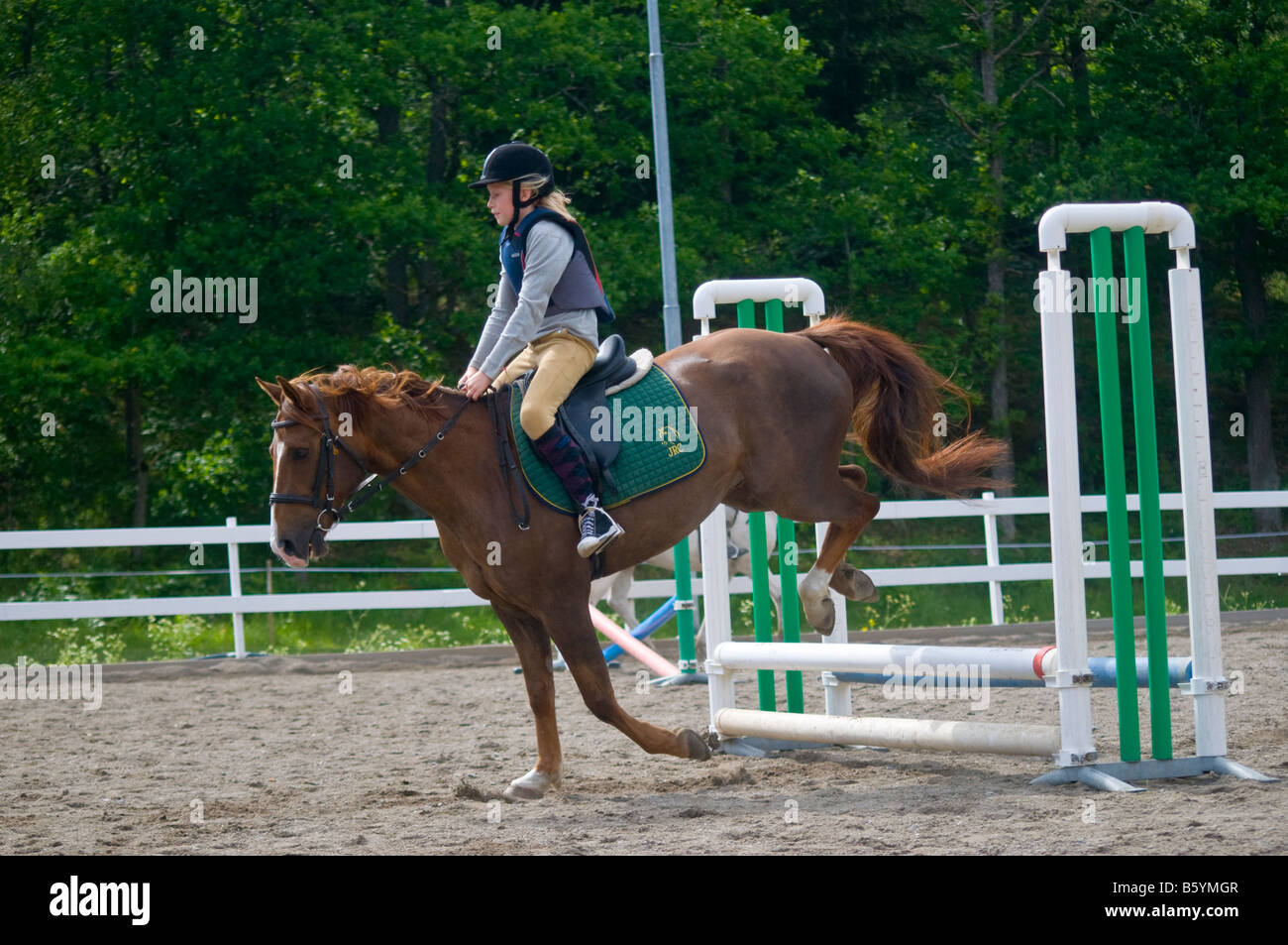 Pony jump competition Stock Photo - Alamy