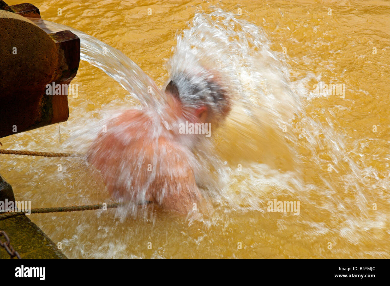 Man under spout of thermal hot mineral spring at Terra Nostra Botanical ...