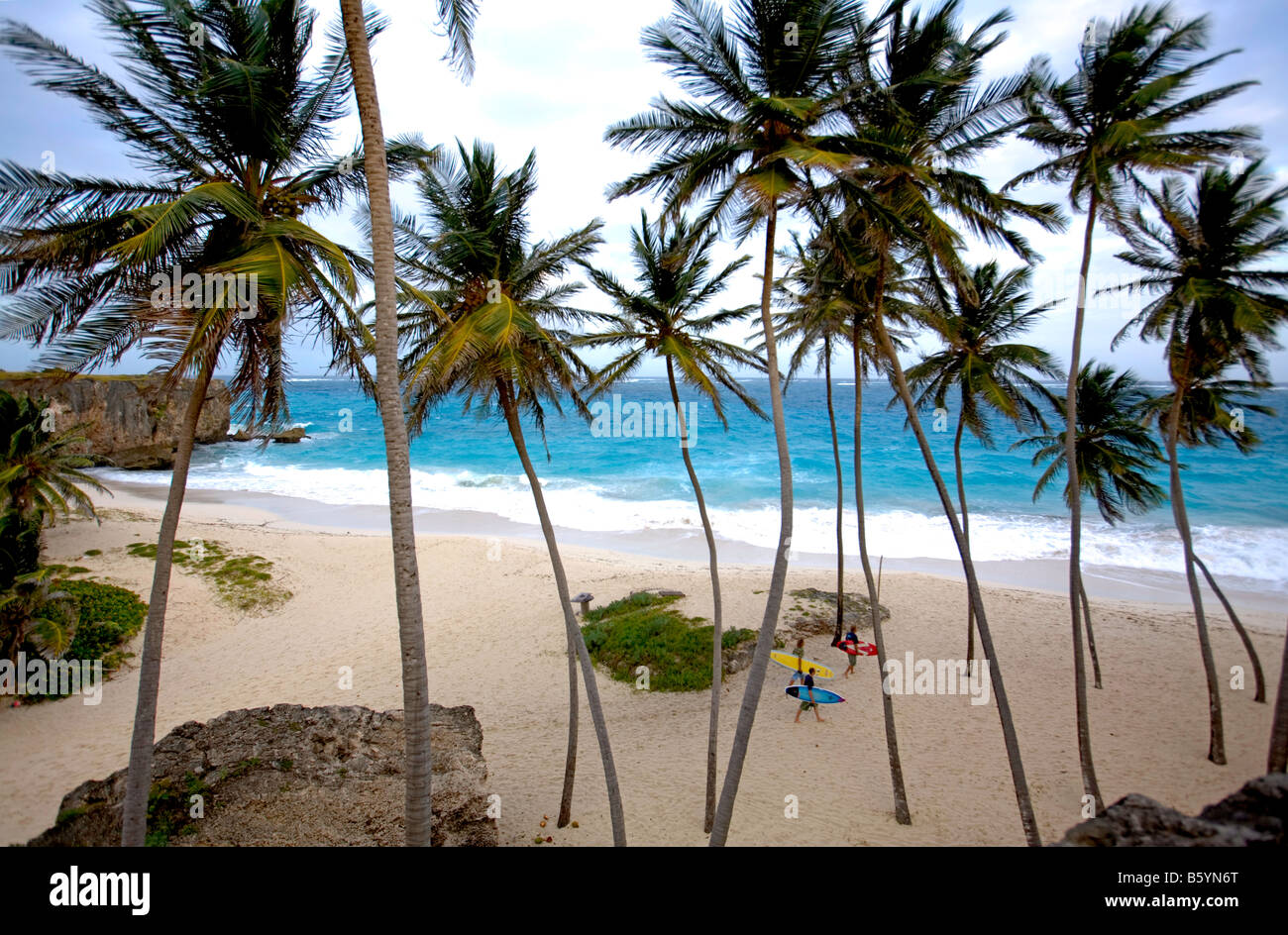 Barbados, Coconut Palms, Surfers Stock Photo - Alamy