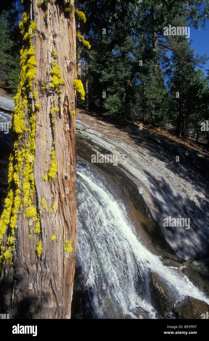 Cascade, Sequoia National Park, California, America, USA Stock Photo ...