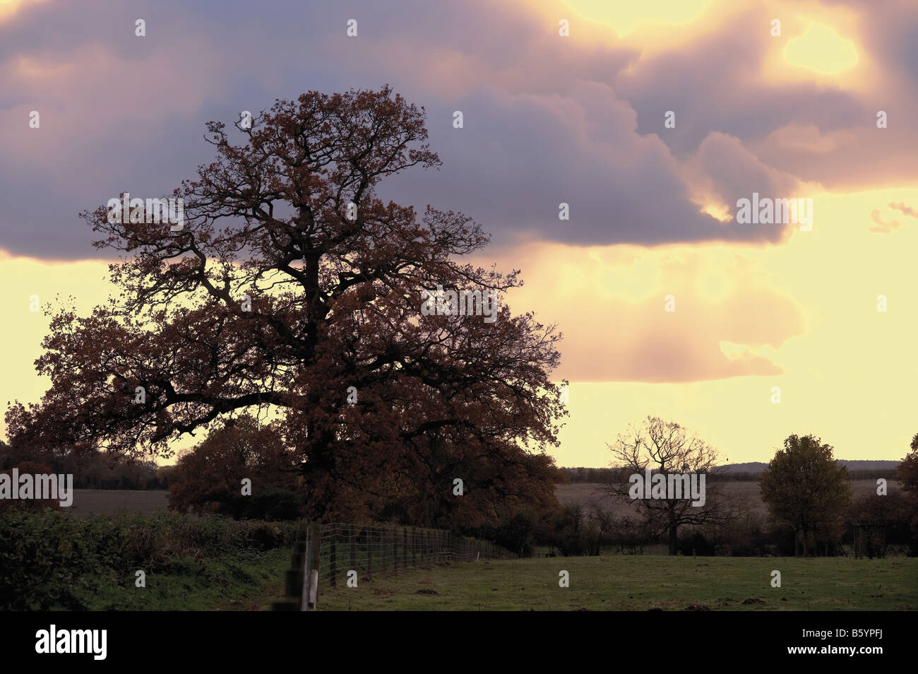 A winter sunset in the countryside Stock Photo - Alamy