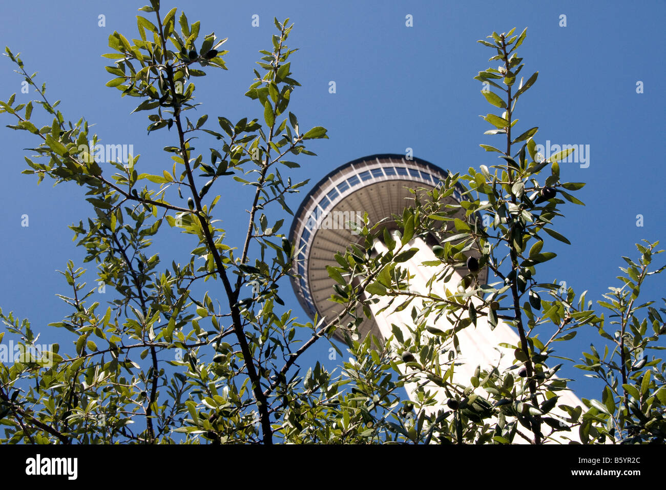 San Antonio's HemisFair Park, view of Tower of the Americas Stock Photo ...