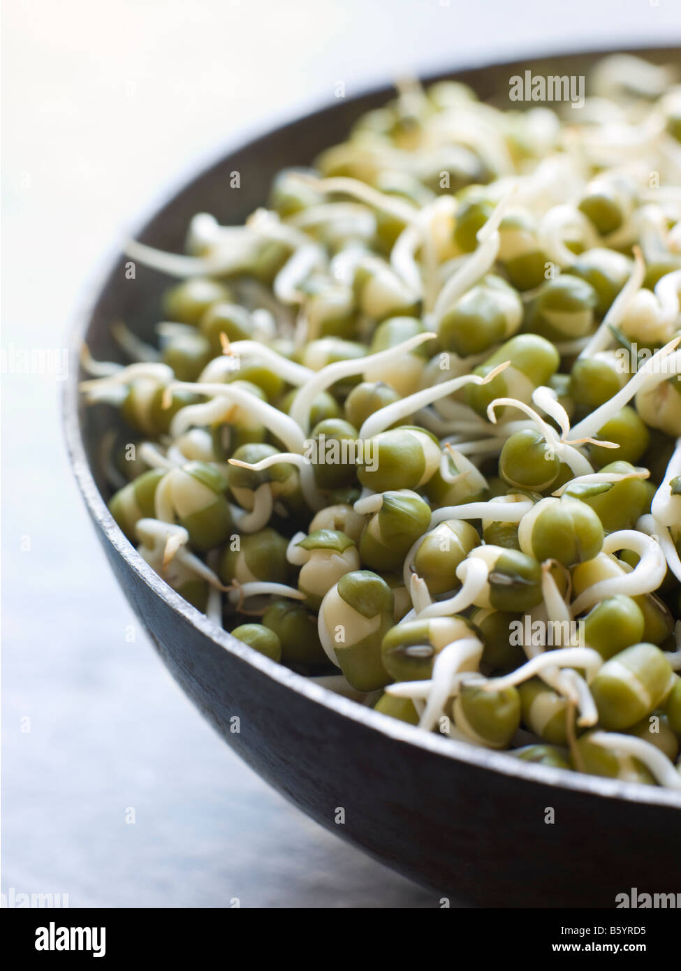 Indian beans hi-res stock photography and images - Alamy