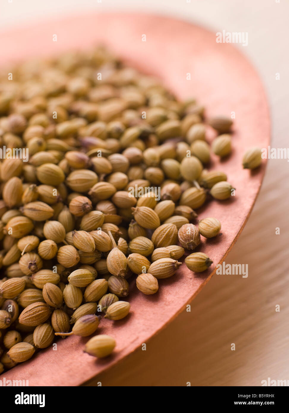 Indian seeds hi-res stock photography and images - Alamy