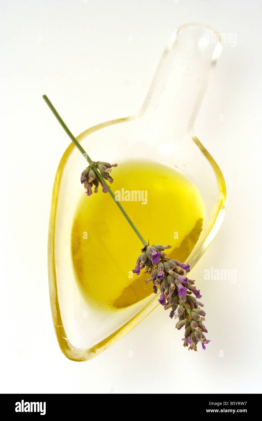 Lavender and essential oil Lavandula officinalis Stock Photo - Alamy