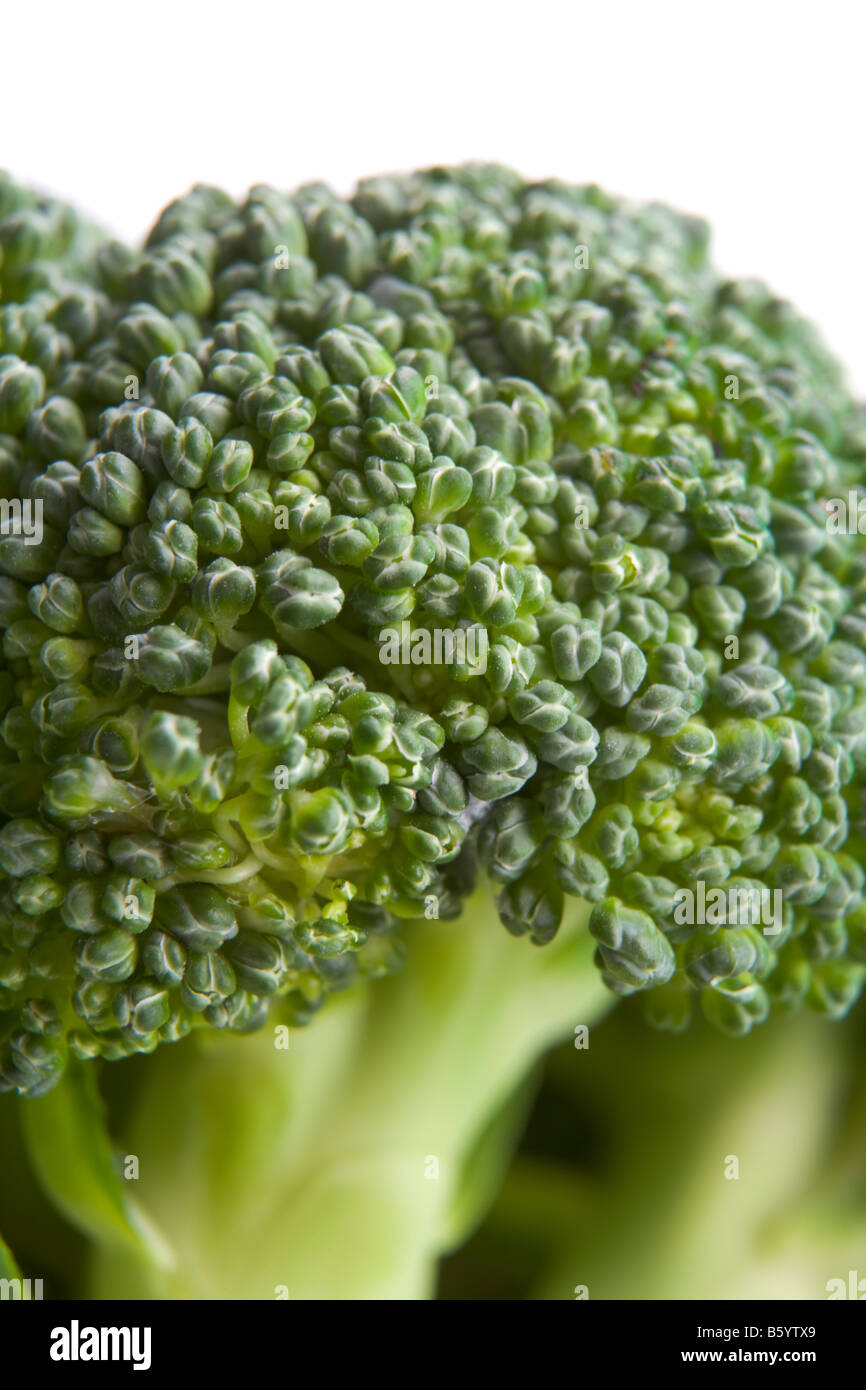 Floret hi-res stock photography and images - Alamy