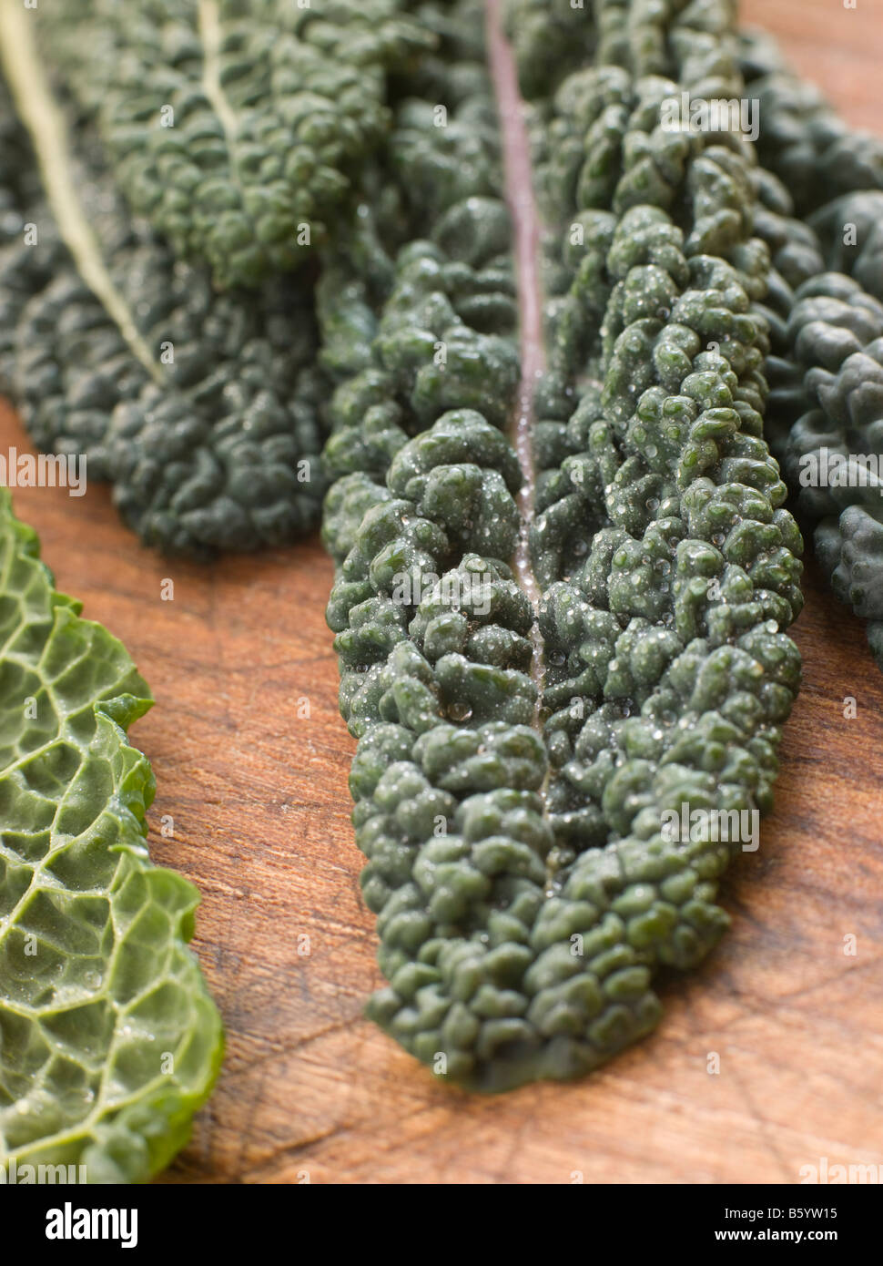 Savoy leaves hi-res stock photography and images - Alamy