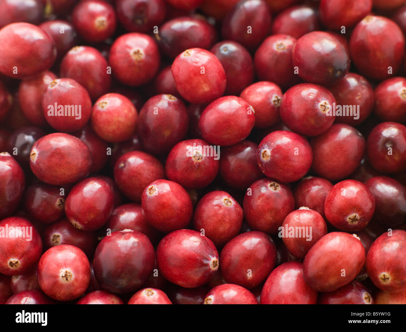 The cranberries hi-res stock photography and images - Alamy