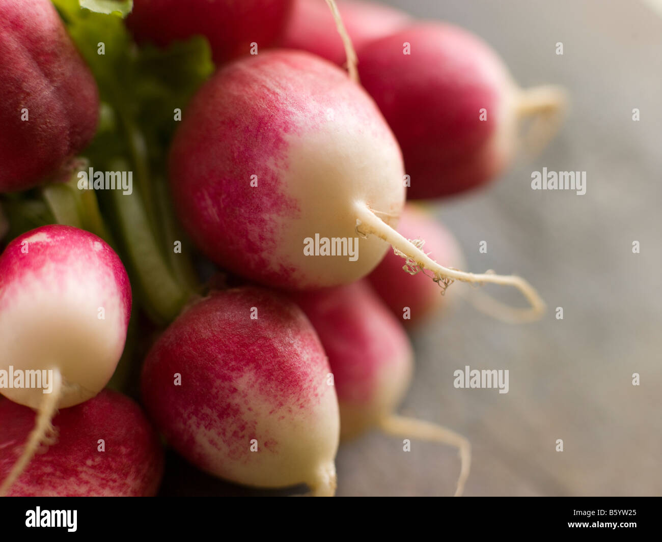 Bunch Of Radish Stock Photo - Alamy