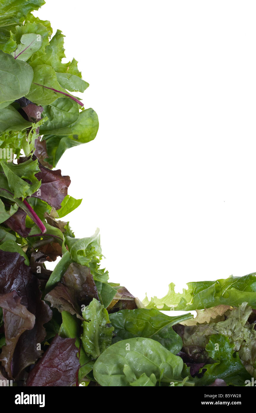 great image of a salad lettuce frame Stock Photo - Alamy