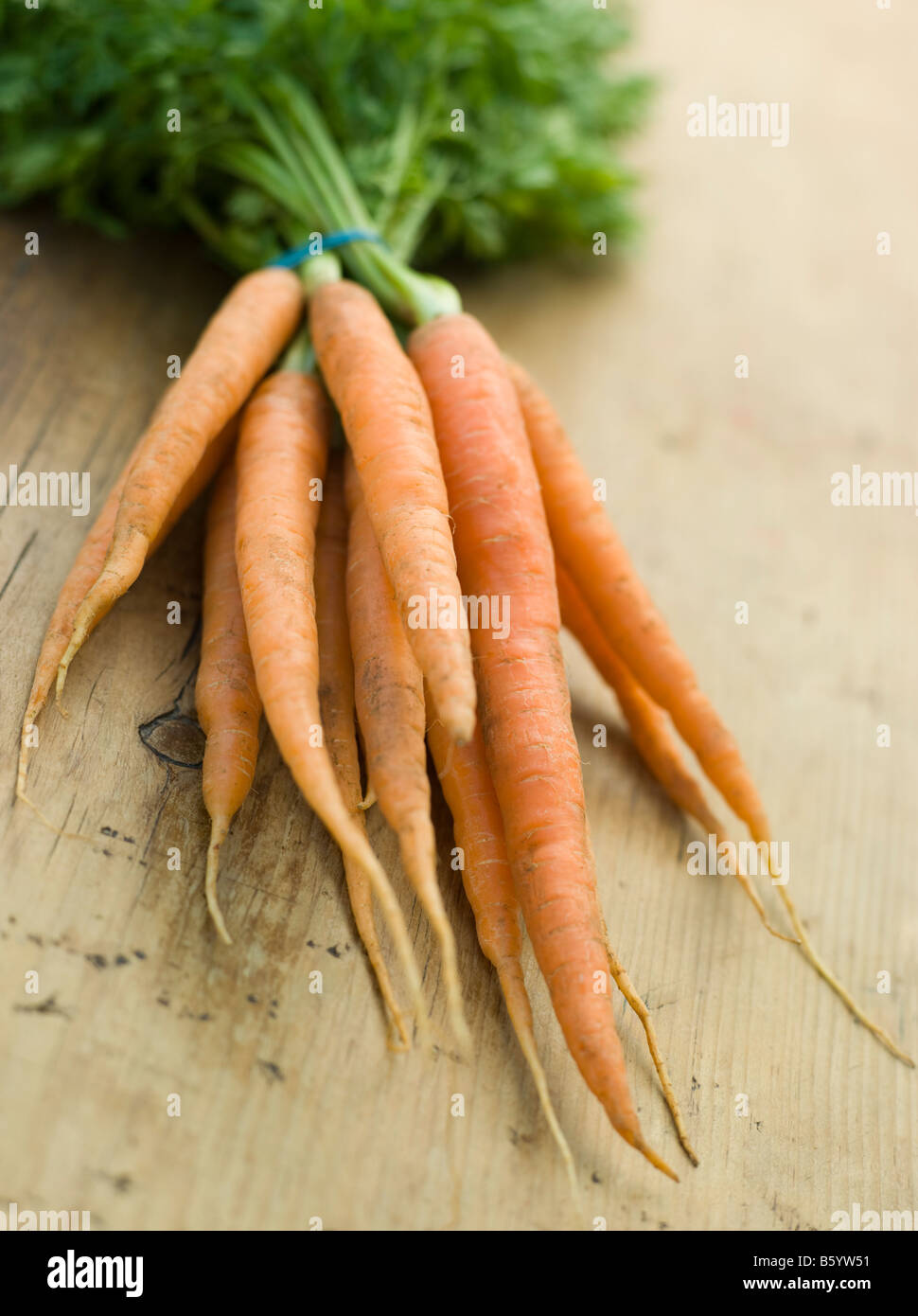 Bunch Of Fresh Carrots Stock Photo - Alamy