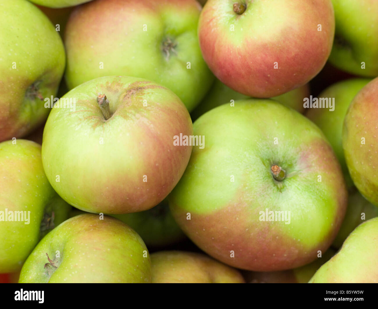 Apples horizontal hi-res stock photography and images - Alamy
