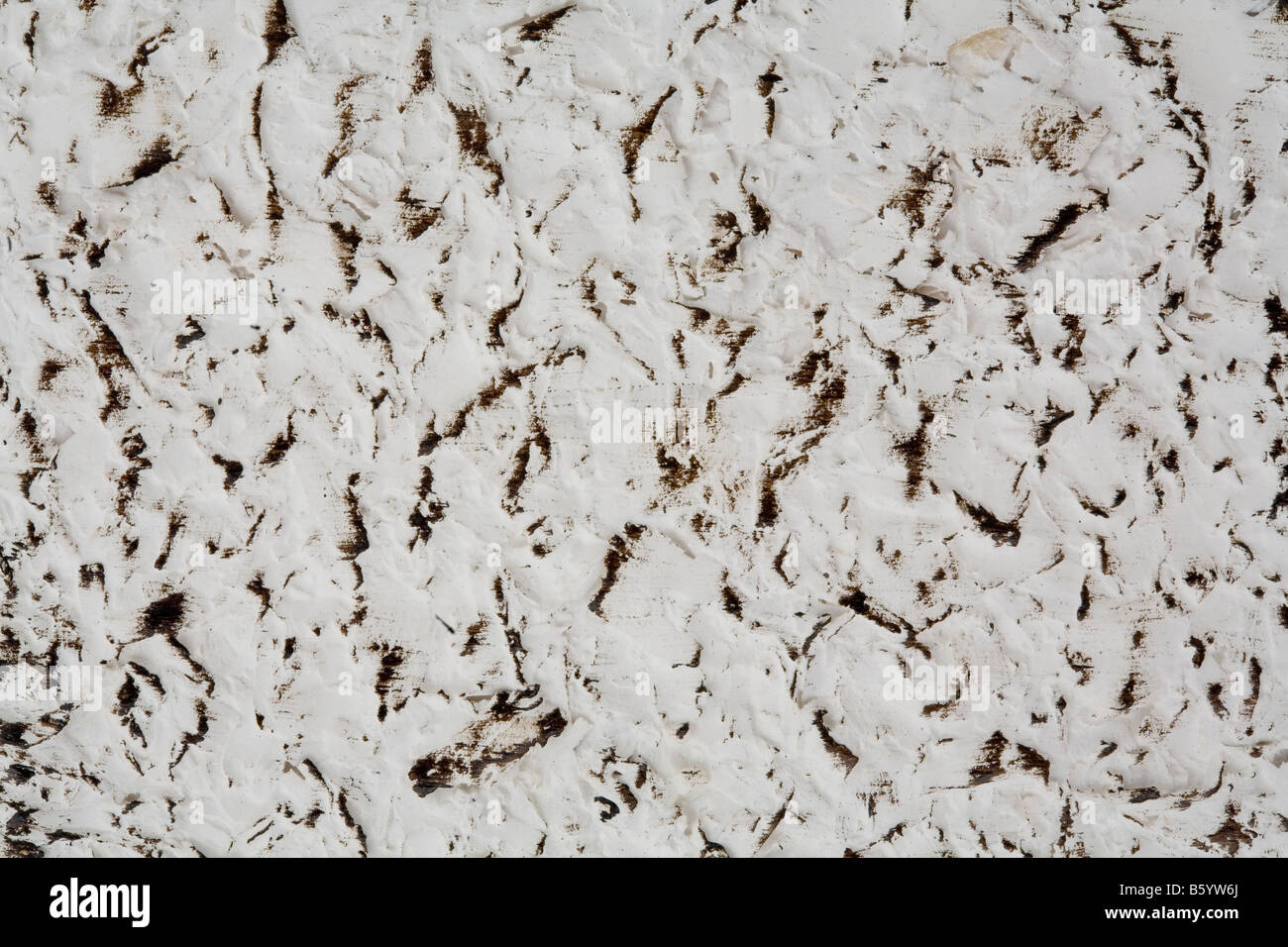 Gray color texture hi-res stock photography and images - Alamy