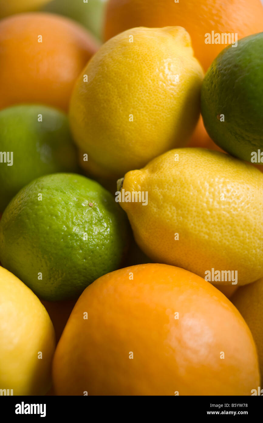 Selection Of Citrus Fruits Stock Photo - Alamy