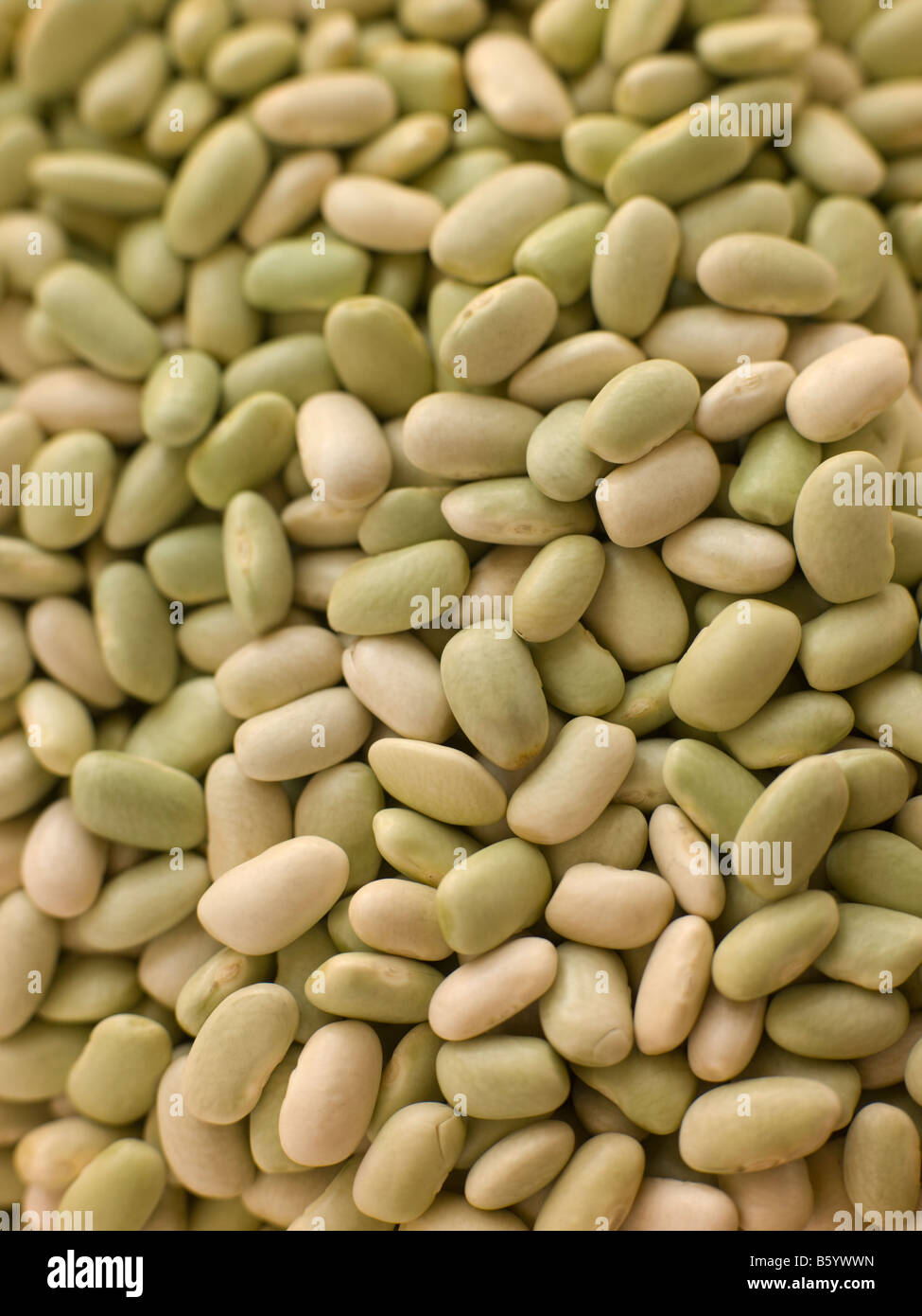 Vertical beans hi-res stock photography and images - Alamy