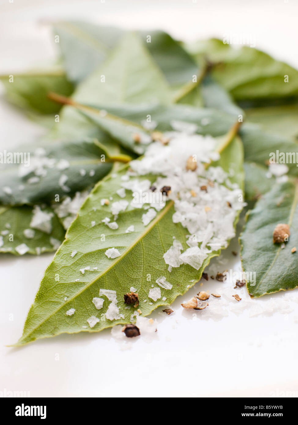 Bay Leaves With Sea Salt Stock Photo - Alamy