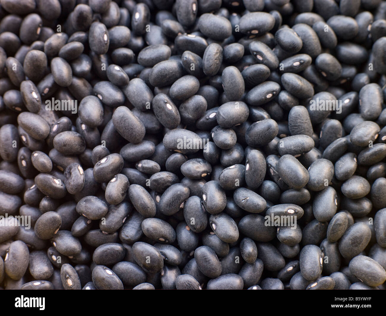 Black Turtle Beans Stock Photo - Alamy