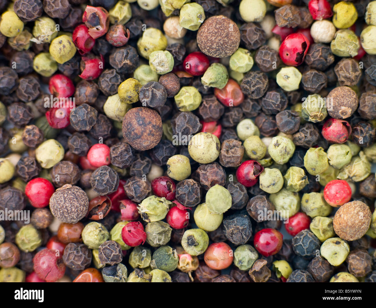 Mixed Pepper Corns Stock Photo - Alamy
