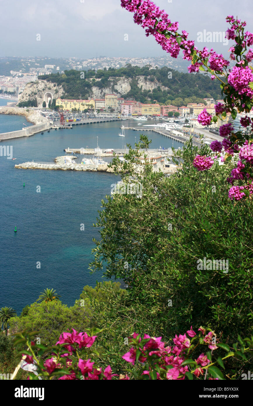 Shrub south france hi-res stock photography and images - Alamy