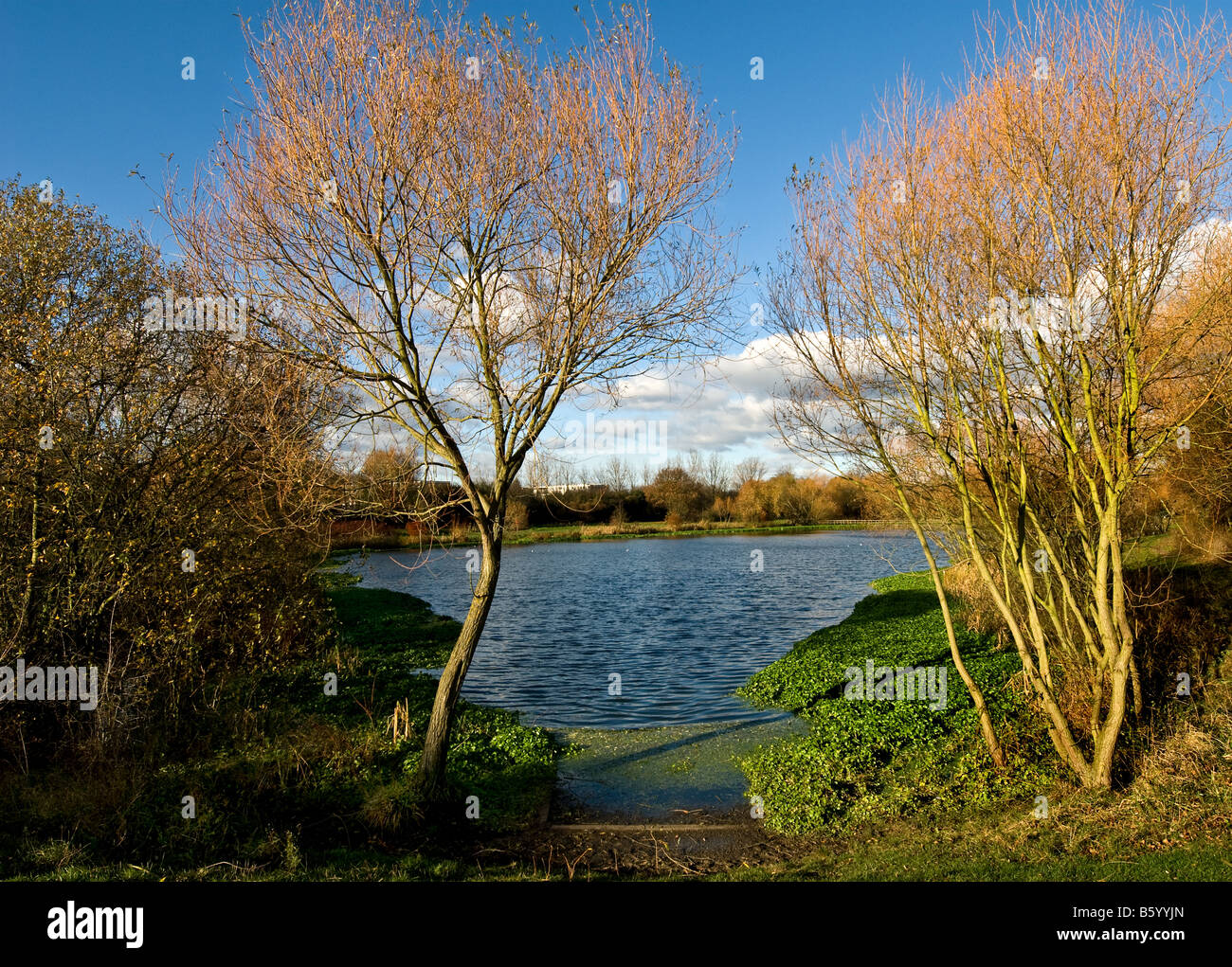 Northlands park basildon hi-res stock photography and images - Alamy