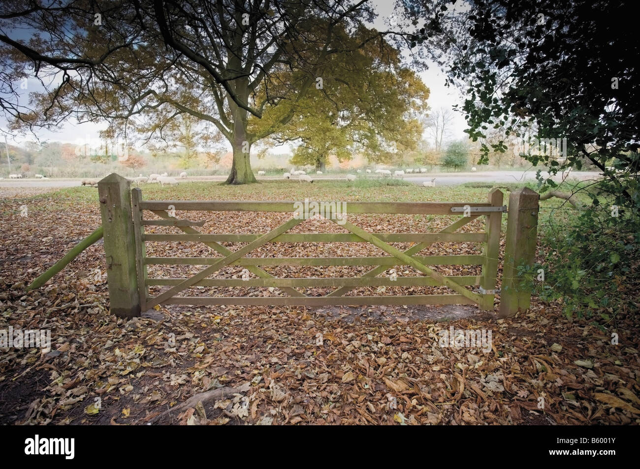 A gate on a footpath Stock Photo - Alamy