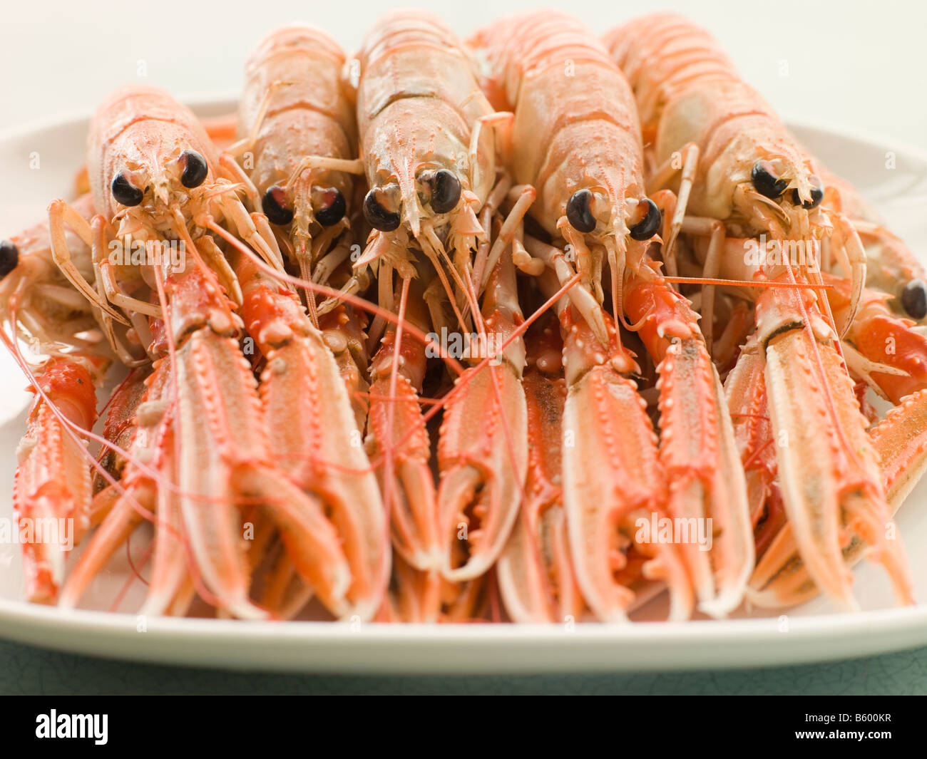 Langouste hi-res stock photography and images - Alamy