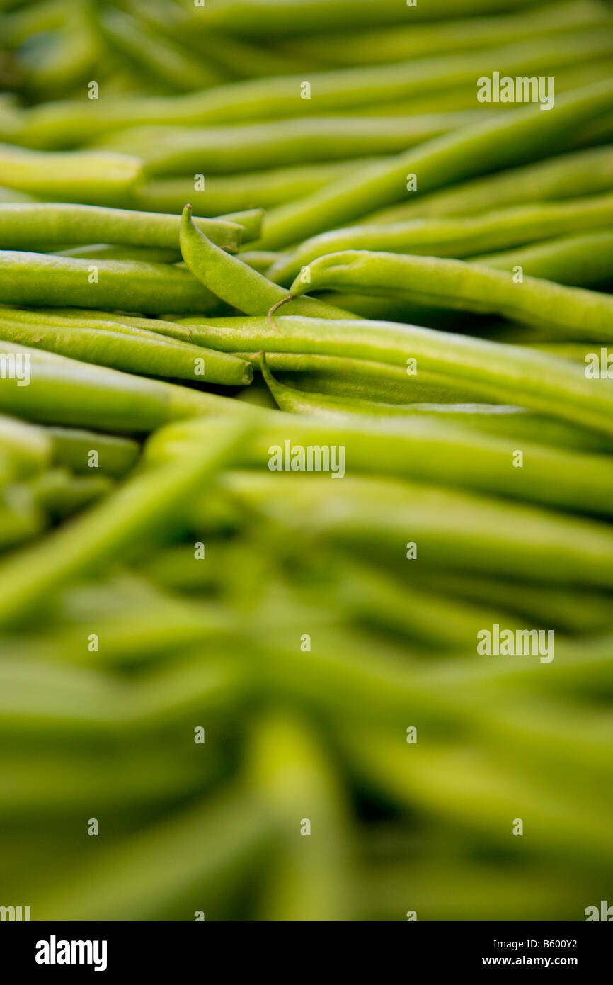 Green beans, shallow depth of field, studio Stock Photo - Alamy