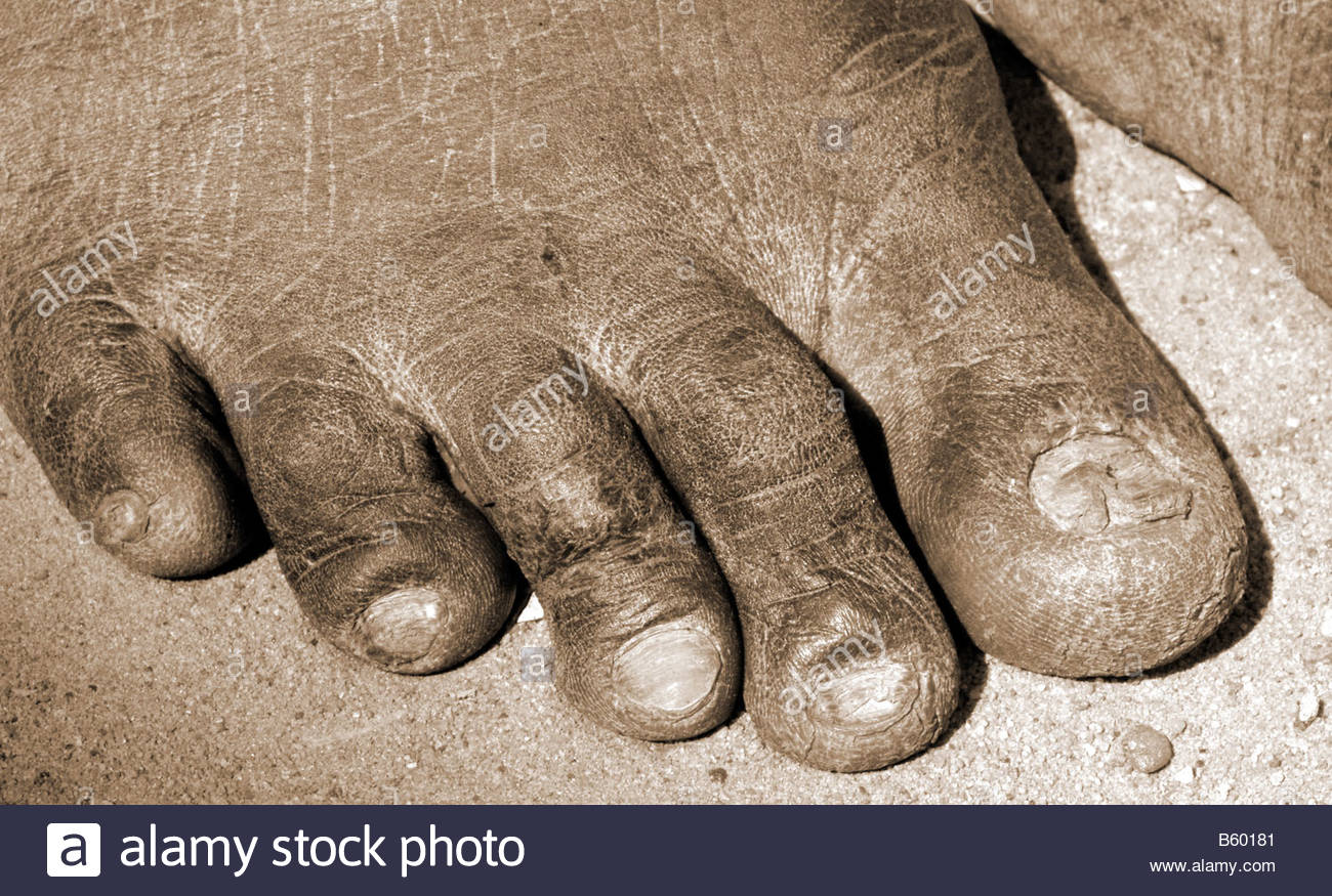 Remoteness Expedition Safari Stock Photos & Remoteness Expedition ...