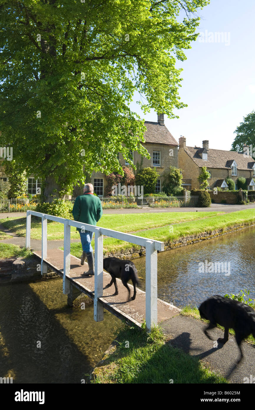 English Country Walk Early Morning High Resolution Stock Photography ...