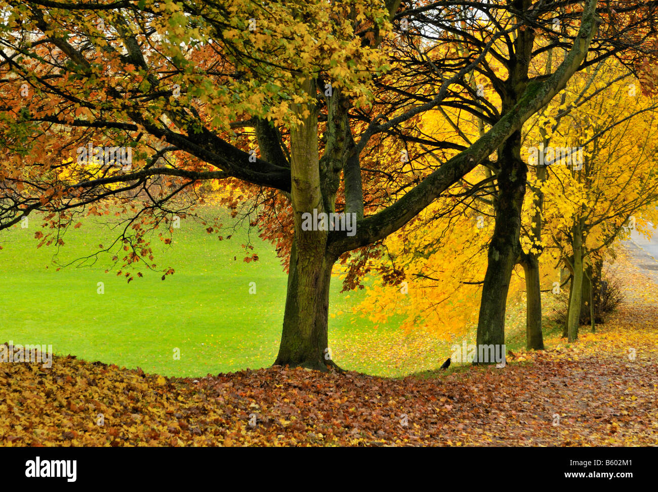 Scene scenic scenery england hi-res stock photography and images - Alamy