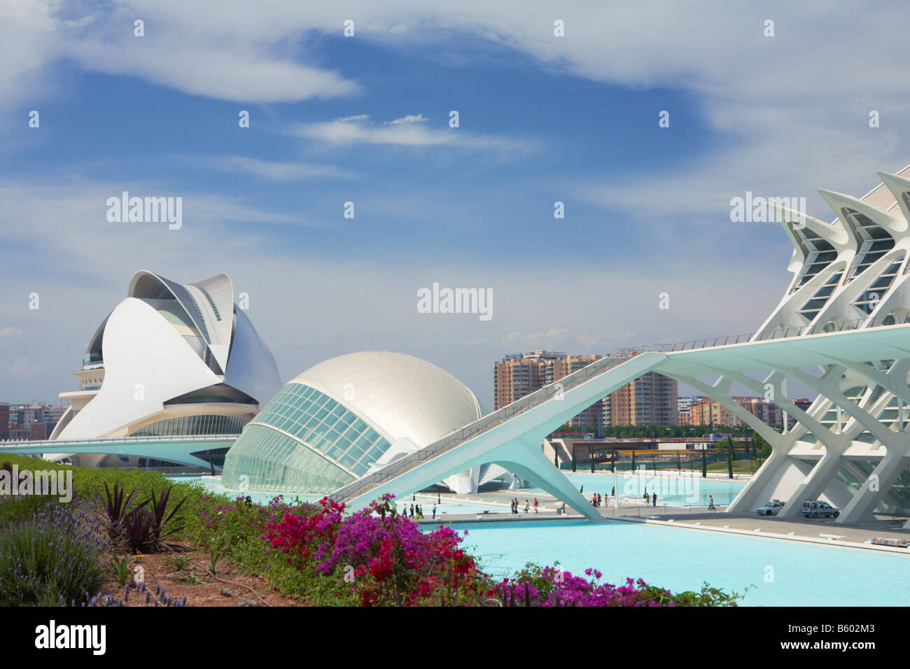 CITY OF ARTS AND SCIENCES Stock Photo - Alamy