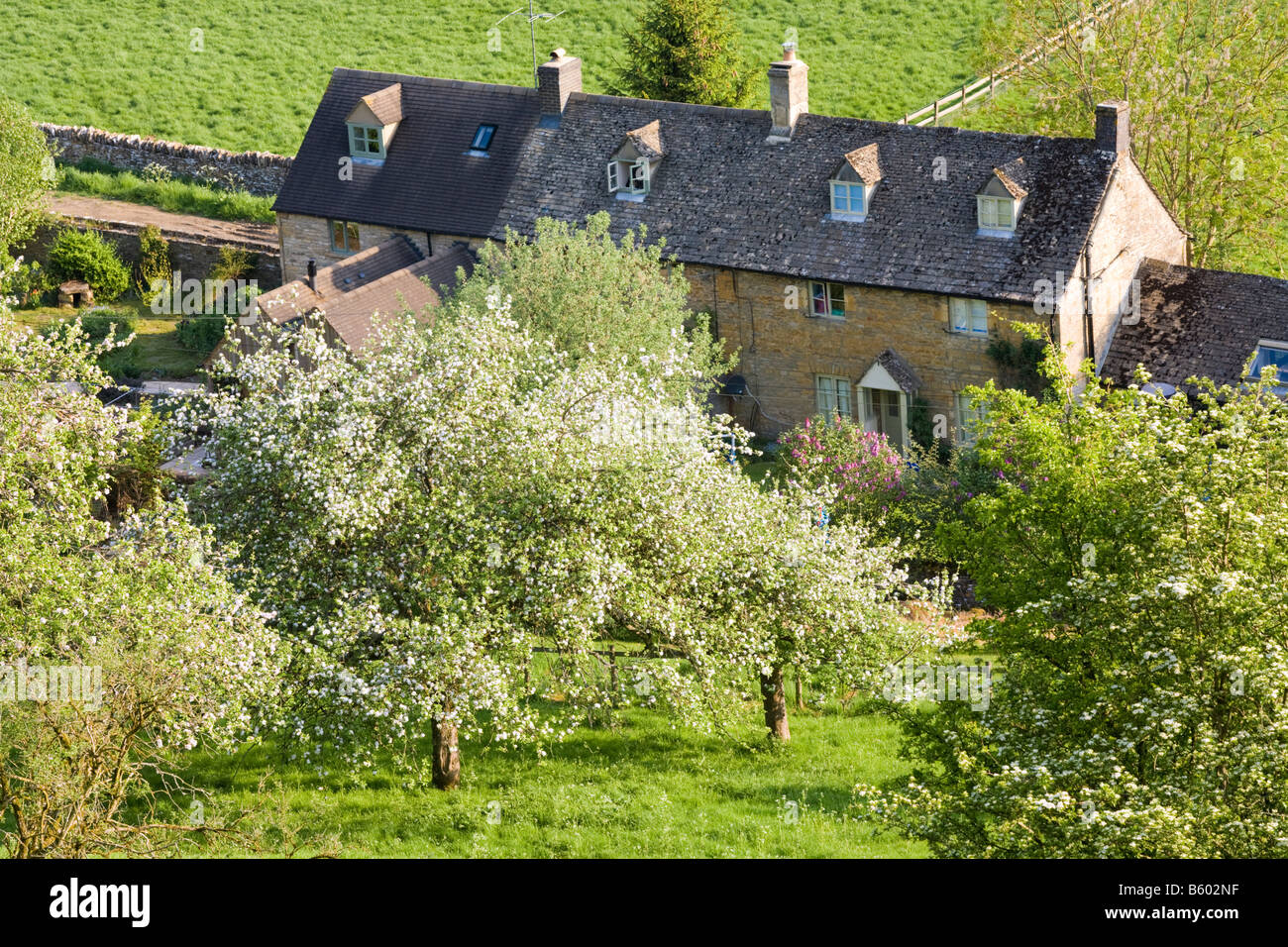 Cottages in windrush village gloucestershire hi-res stock photography ...