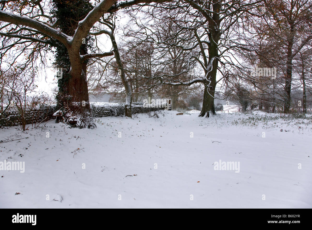 The "British Countryside in Winter" Norfolk, Uk Stock Photo - Alamy