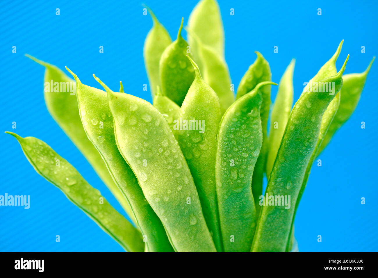 Runner beans studio hi-res stock photography and images - Alamy