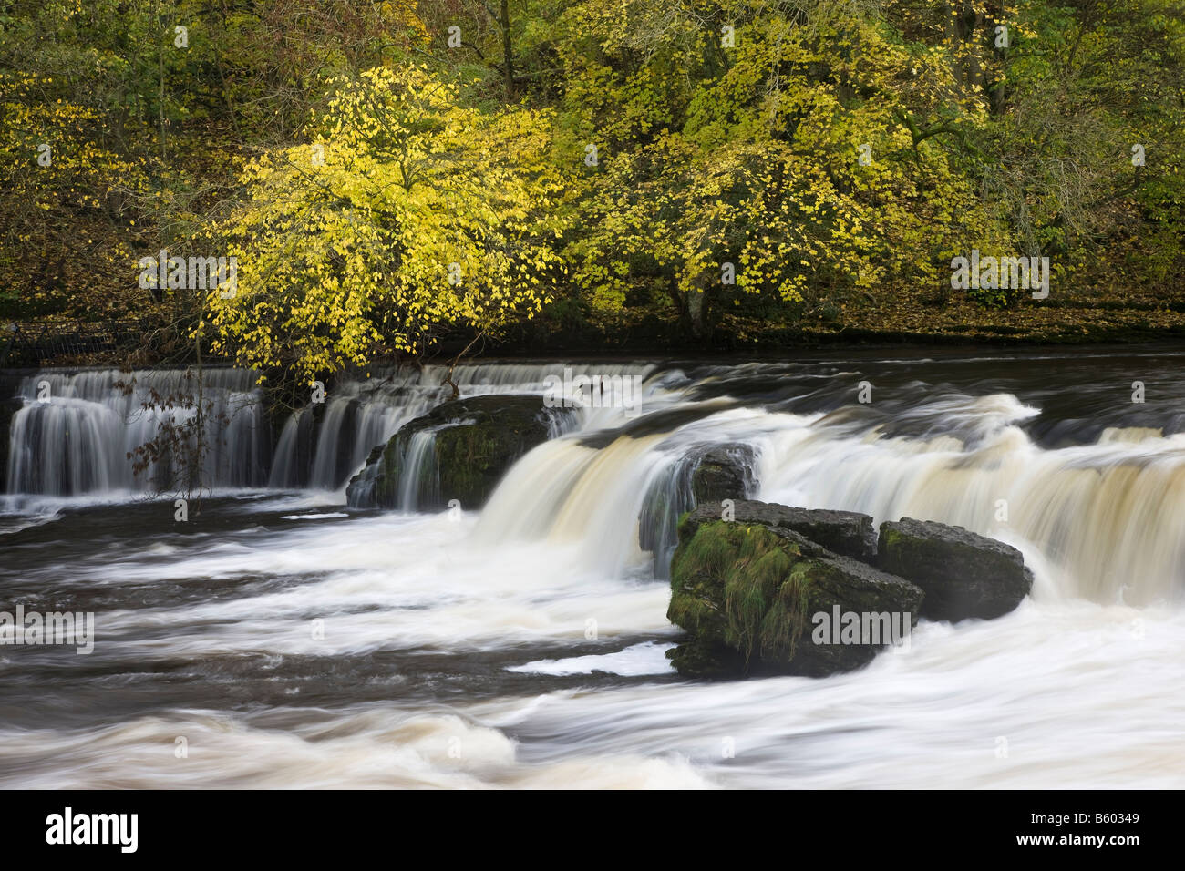 Aysgarth Falls Wensleydale Yorkshire Dales National Park Stock Photo ...