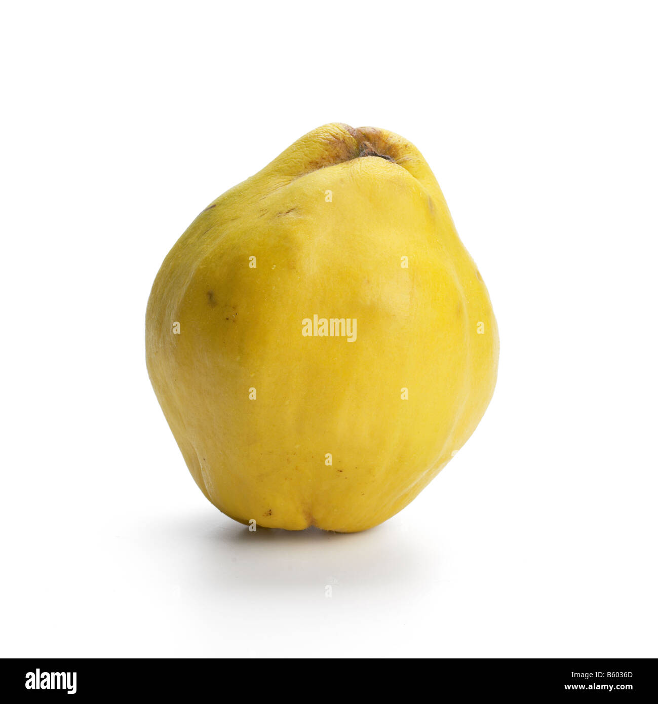 Quinces cut out hi-res stock photography and images - Alamy