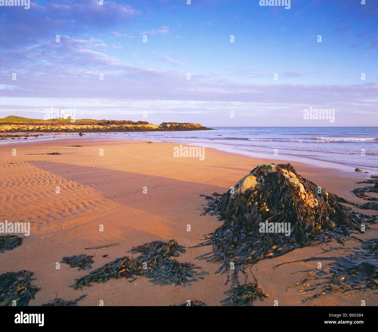 Ruby bay scotland hi-res stock photography and images - Alamy