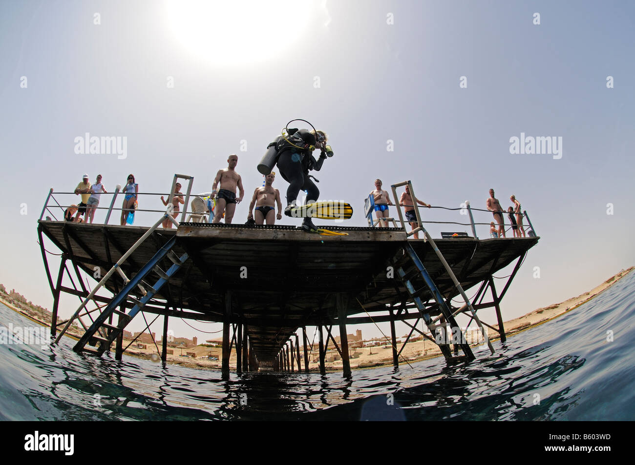 scuba diver jumping from jetty, Red Sea Stock Photo - Alamy