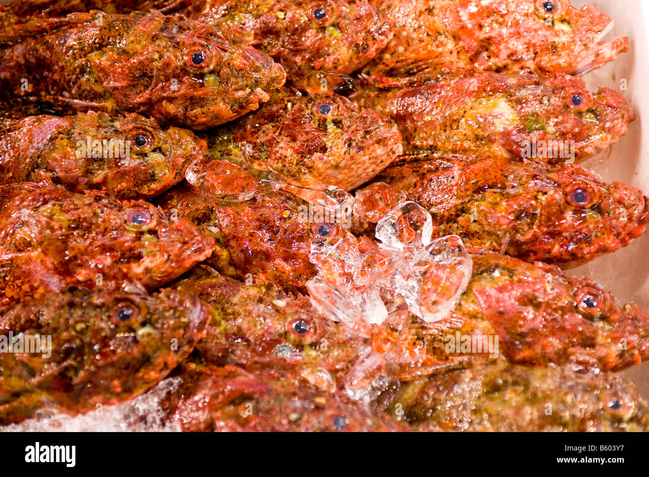 Detail of fish at The Tsukiji Fish Market in Tokyo, Japan Stock Photo ...