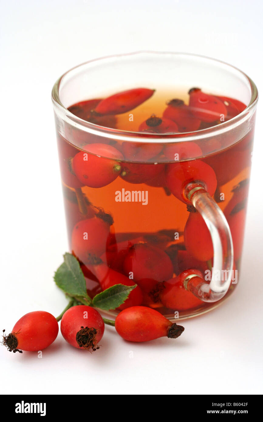 Rose hips infusion Rosa canina Stock Photo - Alamy