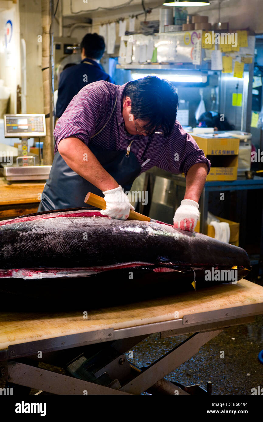 Man cutting a tuna fish at The Tsukiji Fish Market in Tokyo, Japan ...