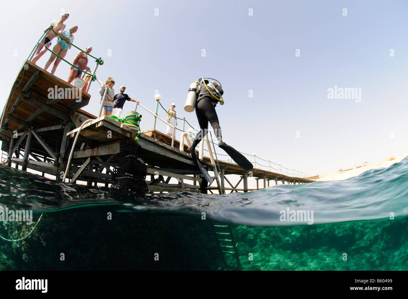 scuba diver jumping from jetty, Red Sea Stock Photo - Alamy