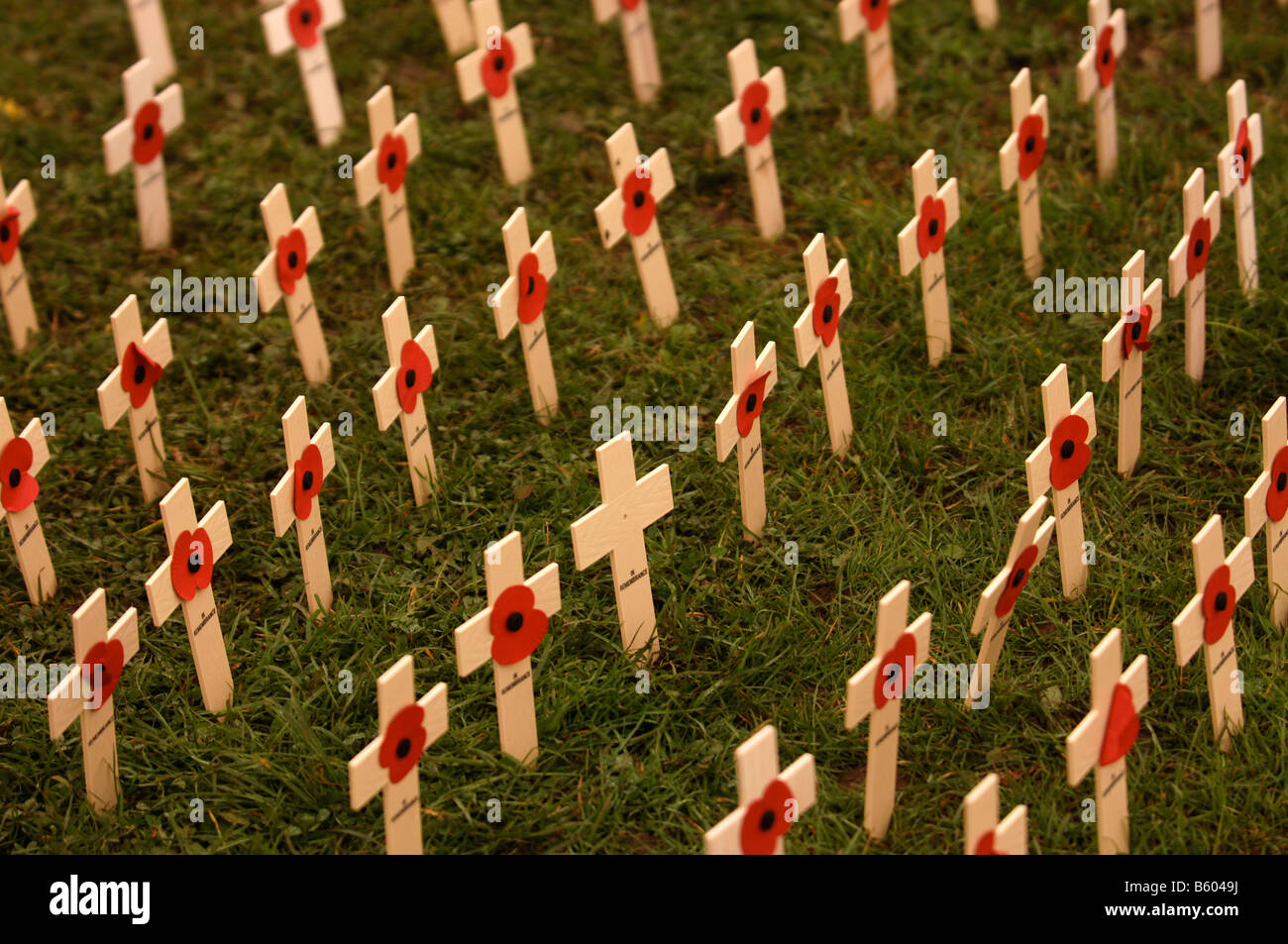 Wooden remembrance crosses hi-res stock photography and images - Alamy