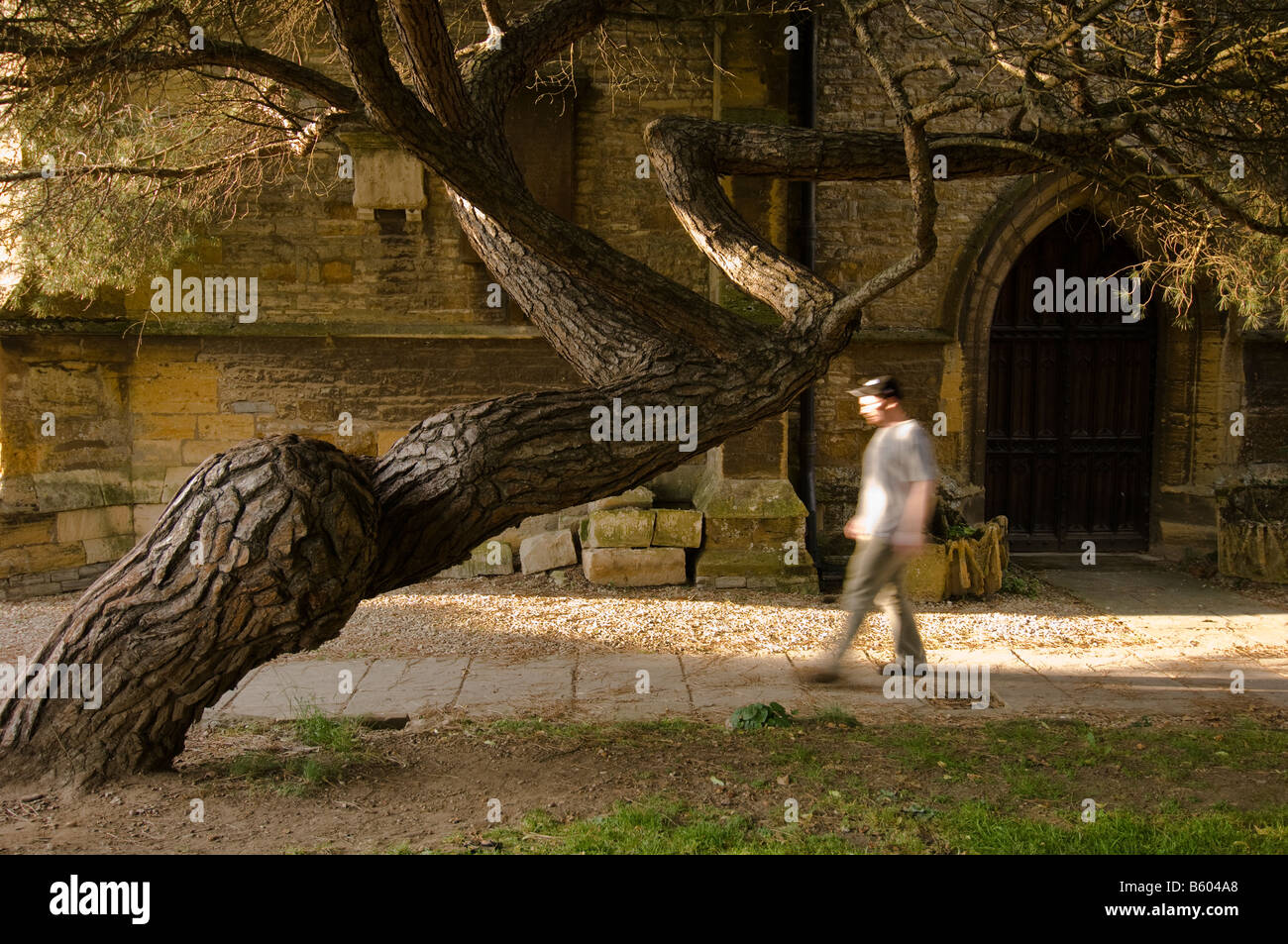 Man walking beneath tree hi-res stock photography and images - Alamy