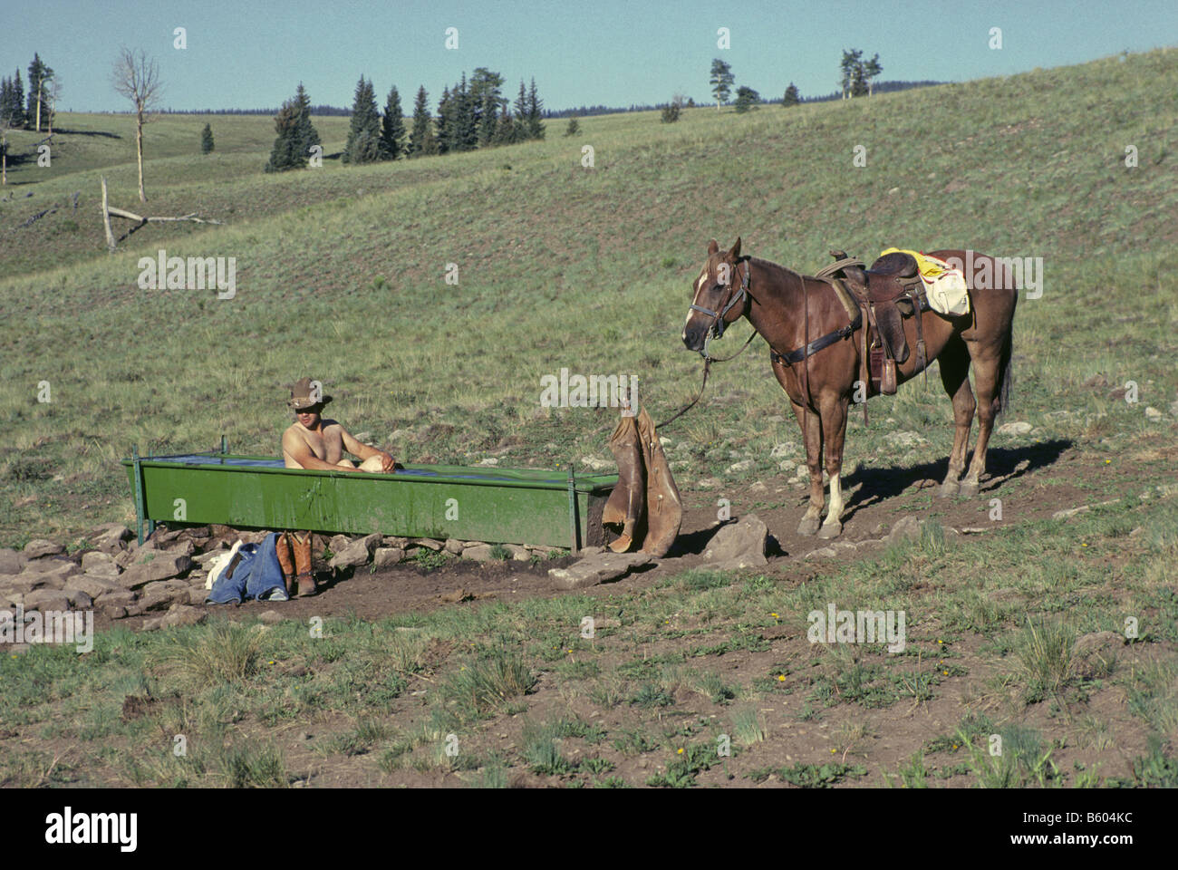 An American range cowboy with his horse tied nearby takes a bath in a ...